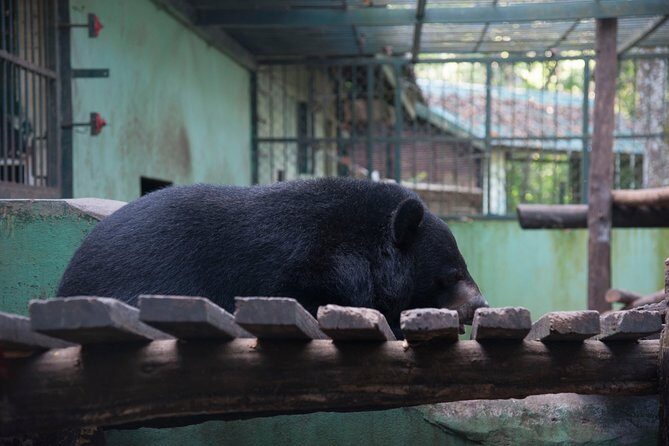 Full Day Trek to Kuang Si Waterfalls, Remote Village - The Sum Up