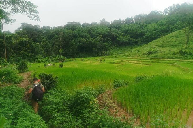 Full Day Trekking & bamboo cooking Tour in Chiang Rai - A Deep Dive into the Day’s Adventures