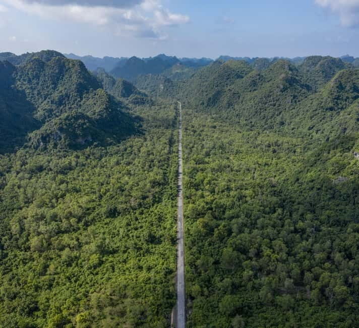 Full-Day Trekking, Biking Explore Cat Ba National Park - Who Will Benefit Most?