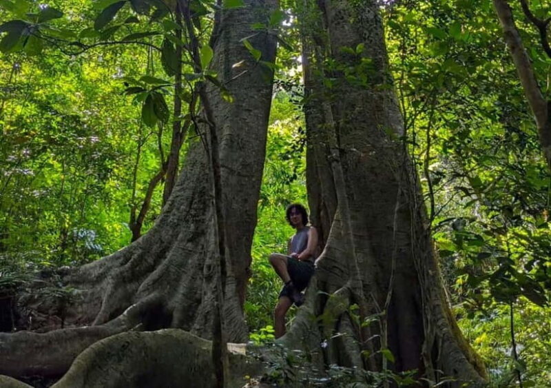 Full-Day Trekking, Biking Explore Cat Ba National Park - The Sum Up