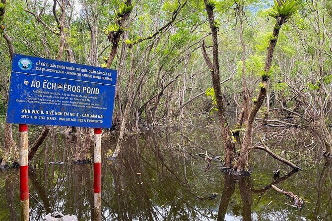 Full-Day Trekking: Explore Cat Ba National Park, Viet Hai Village - Key Points