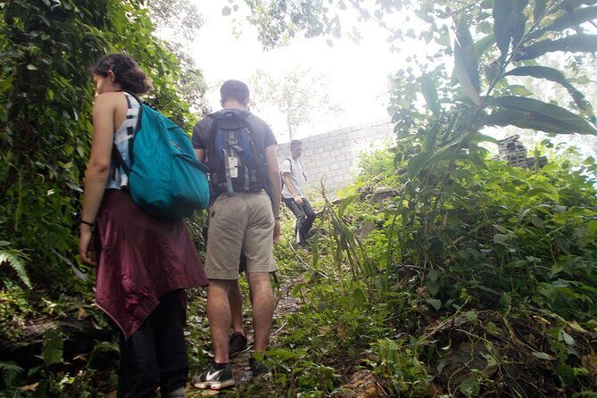 Full-Day Trekking in Kerala, India - Key Points
