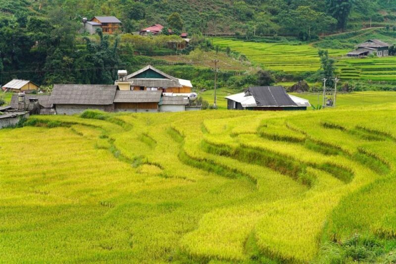 Full Day Trekking Lao Chai-Ta Van and Cat Cat Village - Why This Tour Works