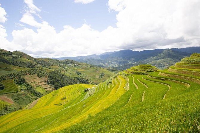 Full Day Trekking Mu Cang Chai - Who Would Love This Tour?