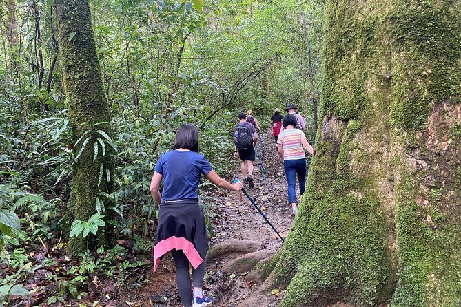 Full day Trekking On Langbiang Mountain - Key Points