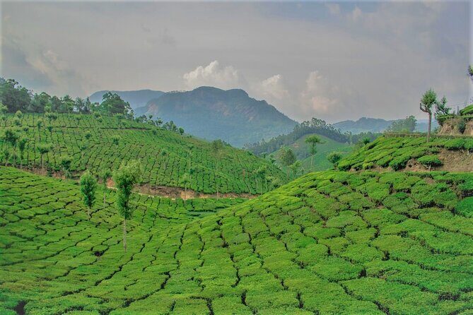 Full Day Trekking Tour In Munnar - FAQ
