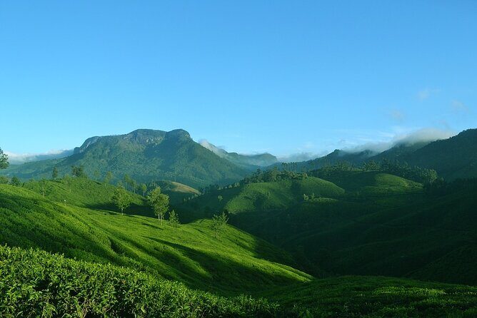 Full Day Trekking Tour In Munnar With Refreshments - A Closer Look at the Itinerary