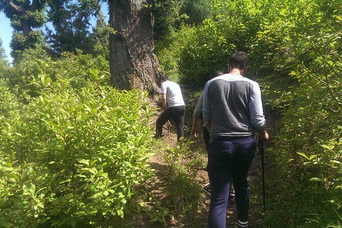 Full-day Trekking Tour to Mohanmarg Meadow - FAQ