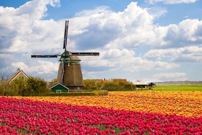 Full-Day Trip From Amsterdam to Keukenhof, Zaanse Schans + Cruise - Key Points