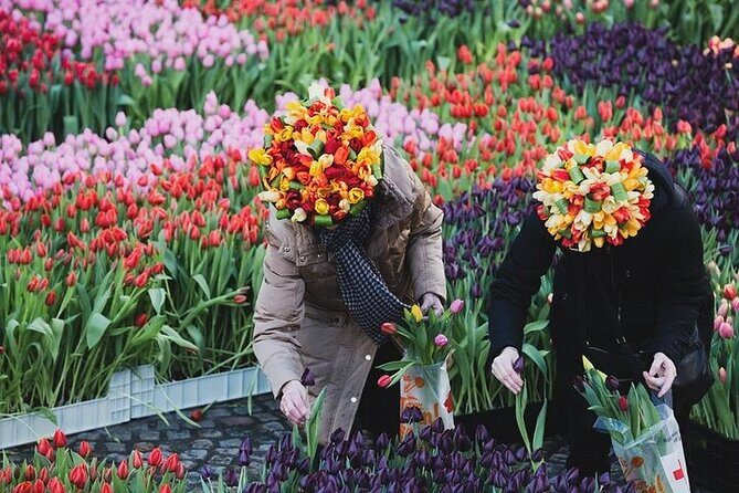 Full-Day Trip From Amsterdam to Keukenhof, Zaanse Schans + Cruise - Who Should Consider This Tour?