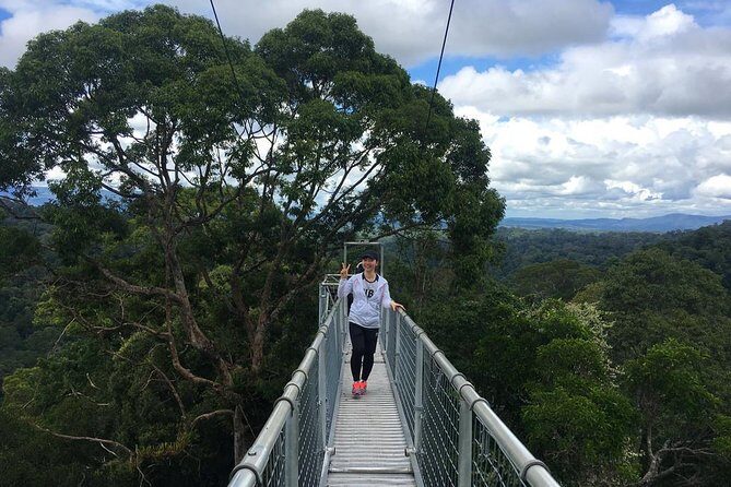 Full Day Trip of Brunei Ulu Temburong National Park including Canopy Walk - Key Points
