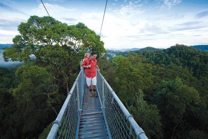 Full Day Trip of Brunei Ulu Temburong National Park including Canopy Walk - What to Expect on Your Ulu Temburong Day Trip