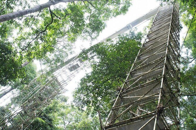 Full Day Trip of Brunei Ulu Temburong National Park including Canopy Walk - FAQ