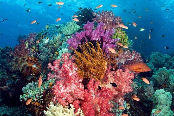 Full Day Trip Phu Quoc Snorkeling 3 Islands by Boat - Considerations Before Booking