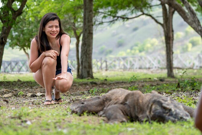 Full Day Trip to Explore 6 Destinations in Labuan Bajo and Komodo - FAQs