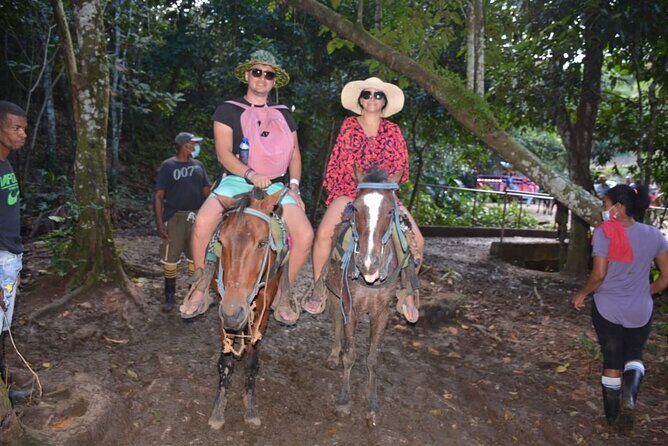 Full-Day Trip to Limon Waterfall and Bacardi Island - Practicalities and Considerations