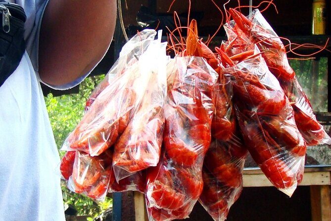 Full Day Trip to South Coast Jamaica from Kingston - Experience Overview