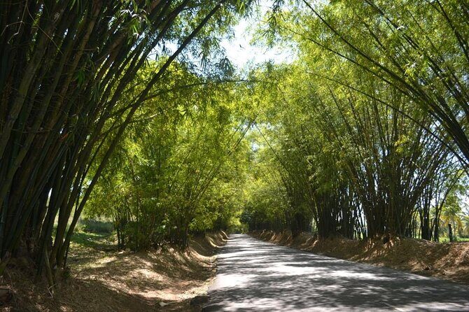 Full Day Trip to South Coast Jamaica from Kingston - Practical Details and What They Mean for You