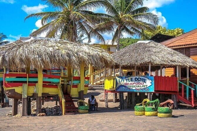 Full Day Trip to South Coast Jamaica from Kingston - Authentic Experiences and Traveler Insights