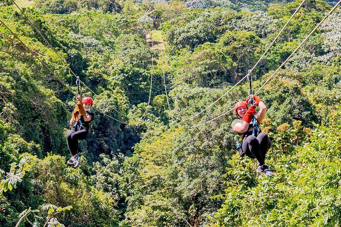 Full-Day Triple Adventure Guided Tour To Bayahibe - The Sum Up
