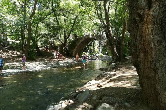 Full Day Troodos Guided Safari Tour with Pick Up - The Practicalities: Transportation, Group, and Cost