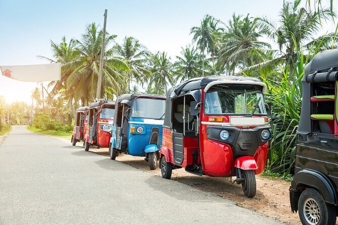 Full Day Tuk Tuk Rental in Sri Lanka - Key Points