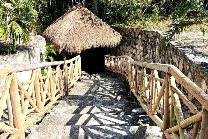 Full-Day Tulum Cenotes Dos Ojos and Gran Cenote Tour - What Our Reviewers Say