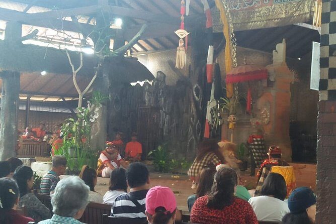 Full Day Ubud and Kintamani Tour - Who Will Love This Tour?