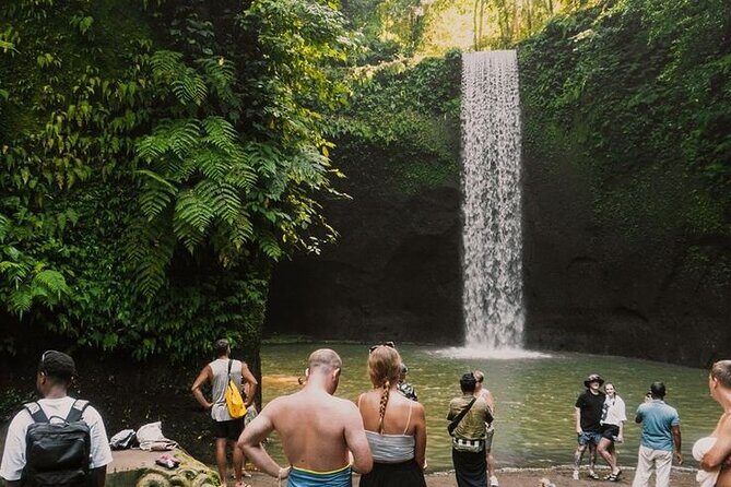 Full Day Ubud Custom Private Tour with Hotel Pickup - The Itinerary in Detail: What You Can Expect