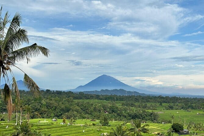 Full-day Ubud Private tour : Cultural Heritage - Key Points