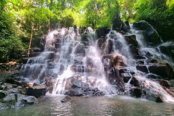 Full Day Ubud Tour Visit Waterfall, Monkey Forest, Rice Terrace - Key Points