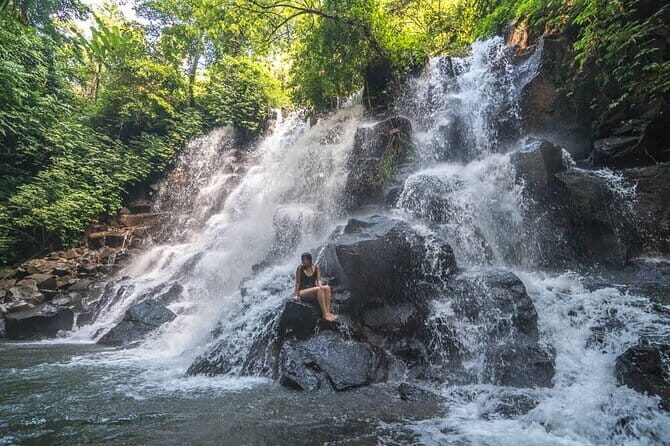 Full Day Ubud Tour Visit Waterfall, Monkey Forest, Rice Terrace - Who Should Consider This Tour?