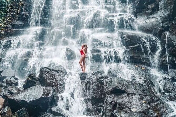 Full Day Ubud Tour Waterfall Monkey Forest Rice Terrace - Key Points