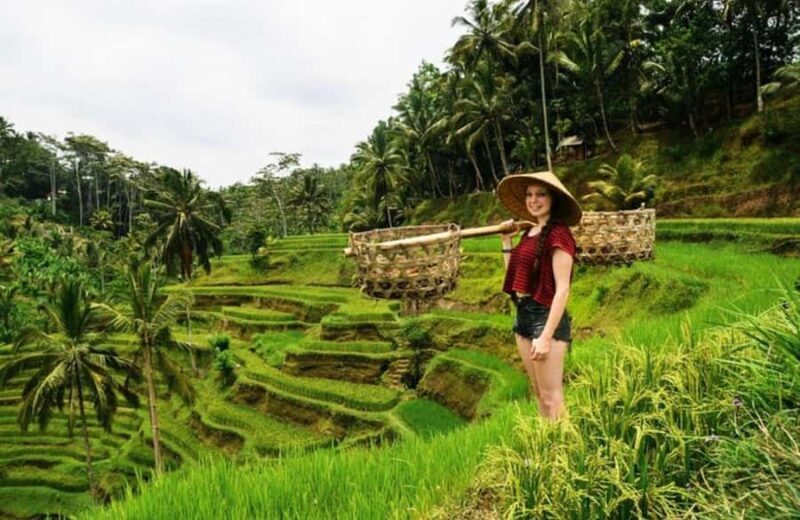 Full-Day Ubud Tours All Inclusive - Who Is This Tour Best For?
