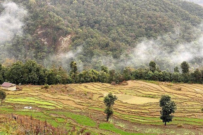 Full Day Unlimited Landscape Visit Tour in Private Car - What Do Travelers Say?