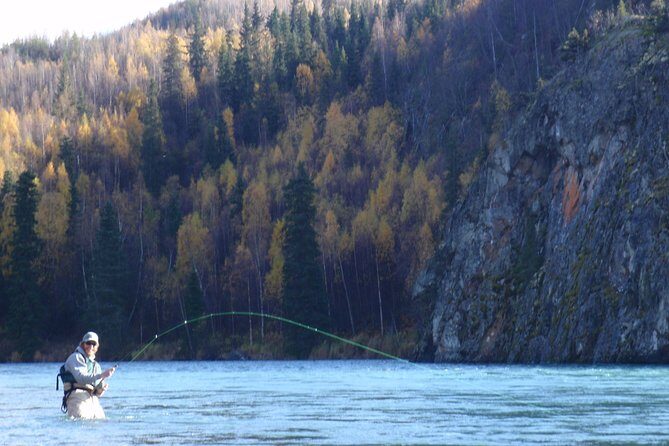 Full-Day Upper Kenai River Guided Fishing Trip - Key Points