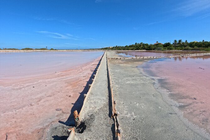 Full Day Vamos Pa la Isla Southwest Experience - Key Points