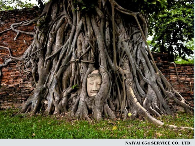 Full-day van charter to Ayutthaya and the Floating Market - Final Thoughts