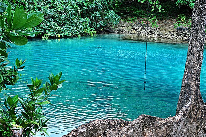 Full-Day Vanuatu Cultural, Blue Lagoon & Eden On The River Tour - Who Should Consider This Tour?