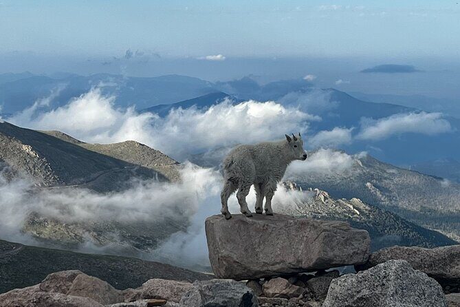 Full-Day Views and Scenic Mount Evans Private Guided Drive Tour - FAQ