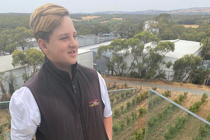 Full-Day VIP Hahndorf and McLaren Vale Private Car Tour - Why Choose This Tour?