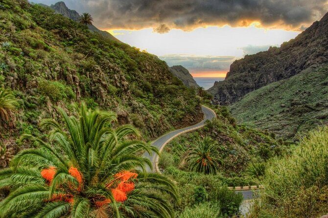 Full-Day Vip Masca and Teide Tour From South Tenerife - FAQ