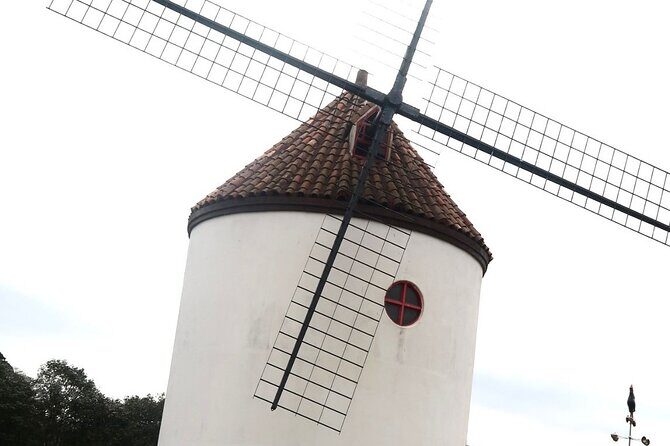 Full-Day Visiting Jeju Island Private Tour with Lunch in jeju - The Itinerary in Detail