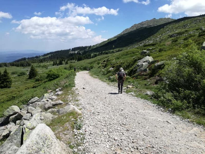 Full-Day Vitosha and Cherni Vruh Peak Hiking Tour - What You’ll Experience and Why It Matters