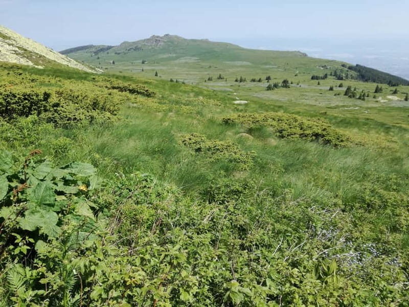 Full-Day Vitosha and Cherni Vruh Peak Hiking Tour - Value and Practical Considerations