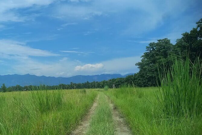 Full Day walking safari at Bardia National Park With LUNCH &GUIDE - Authentic Wildlife Encounters: What Travelers Say