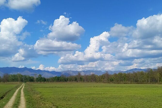 Full Day walking safari at Bardia National Park With LUNCH &GUIDE - Who This Tour Is Best For