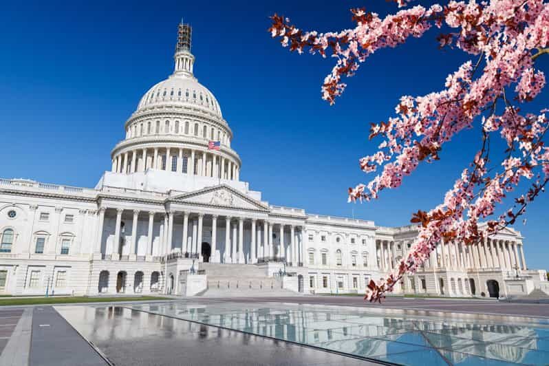 Full Day Washington DC & Mount Vernon Tour - Key Points