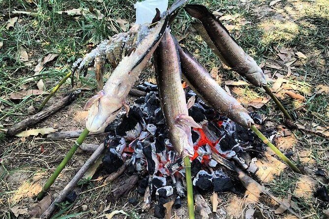 Full-day: Wat Banan. Old bamboo train. Bat Cave. Killing cave - FAQs