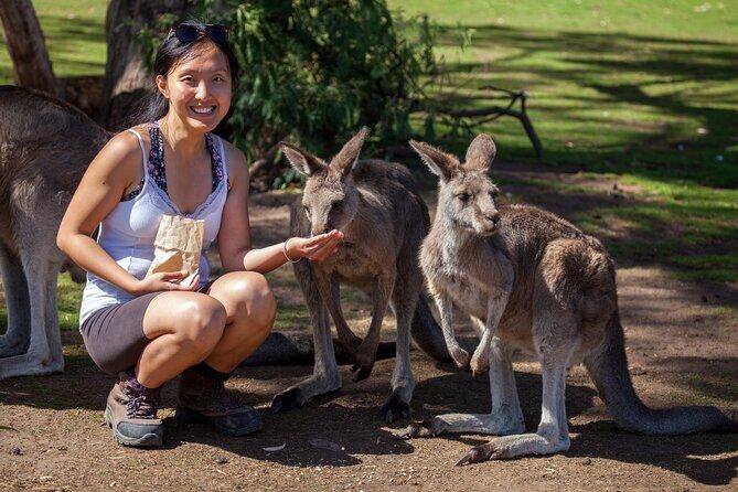 Full-Day Waterfalls, Wilderness & Wildlife Hobart Tour - Full-Day Adventure in Tasmania’s Wilderness